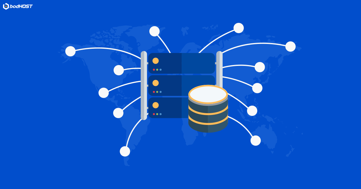 How the Location of the Server Affects Performance and SEO