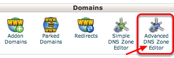 How to change DNS setting in cPanel?
