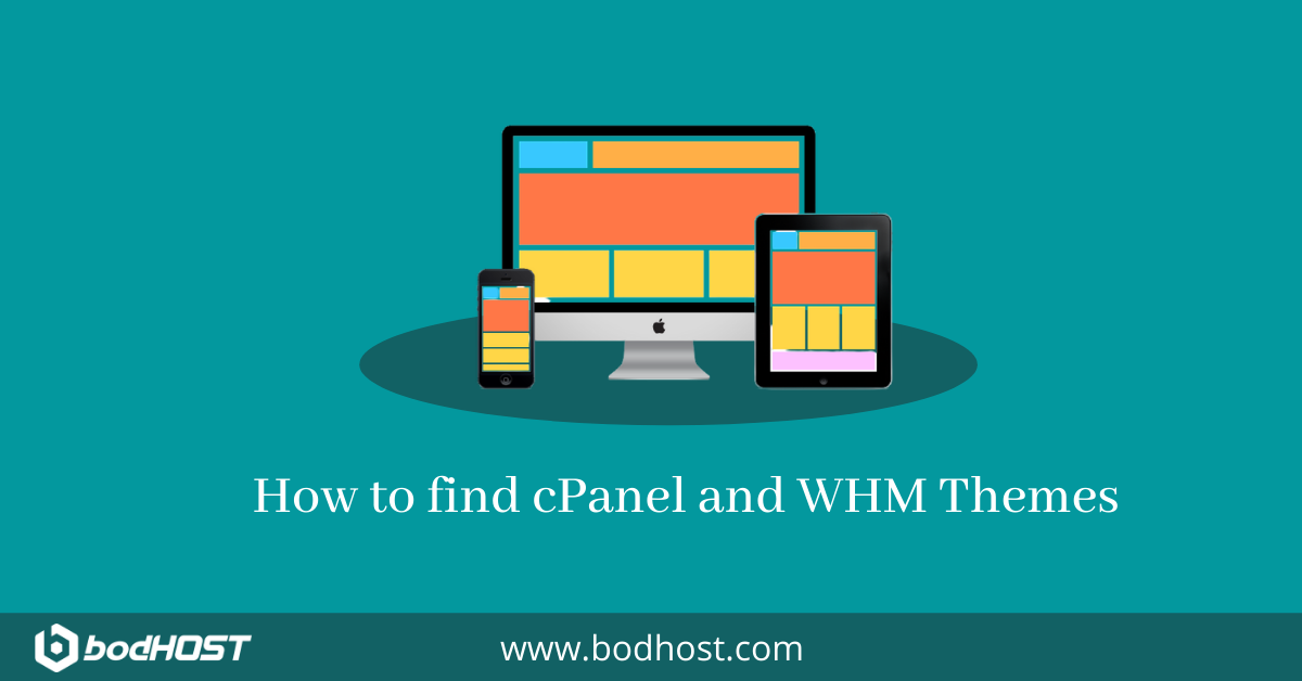 Where can you find cPanel and WHM themes? | bodHOST