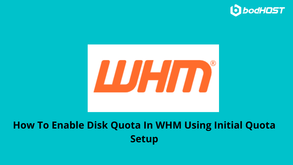 How to Enable Disk Quota In WHM Using Initial Quota Setup?