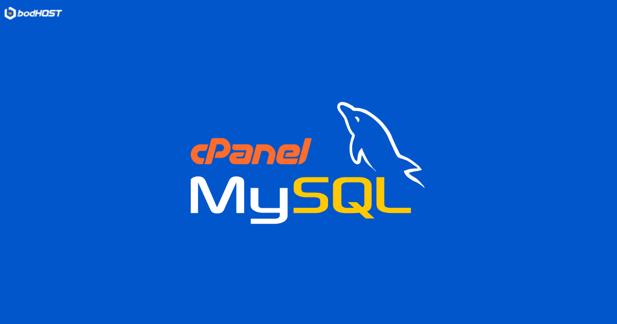 How To Delete A Mysql Database In Cpanel